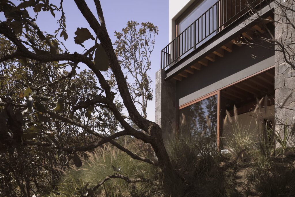 Casa Gavilán | Worc Studio